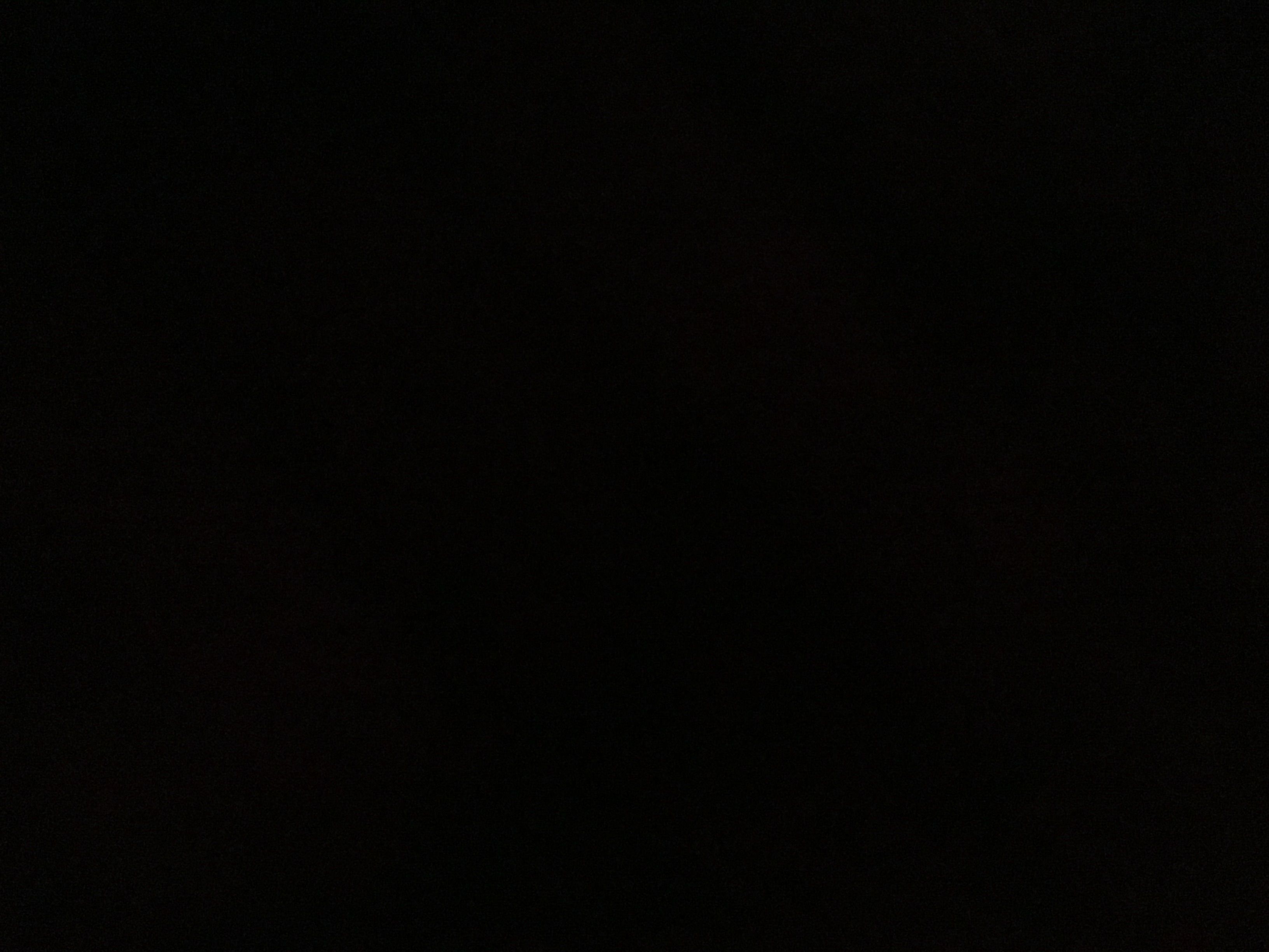 Q1 2025 Market Update